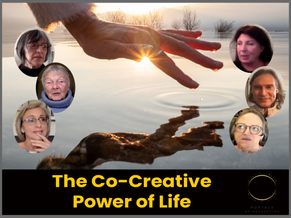 Co-creating evolution: The Co-Creative Power of Life
